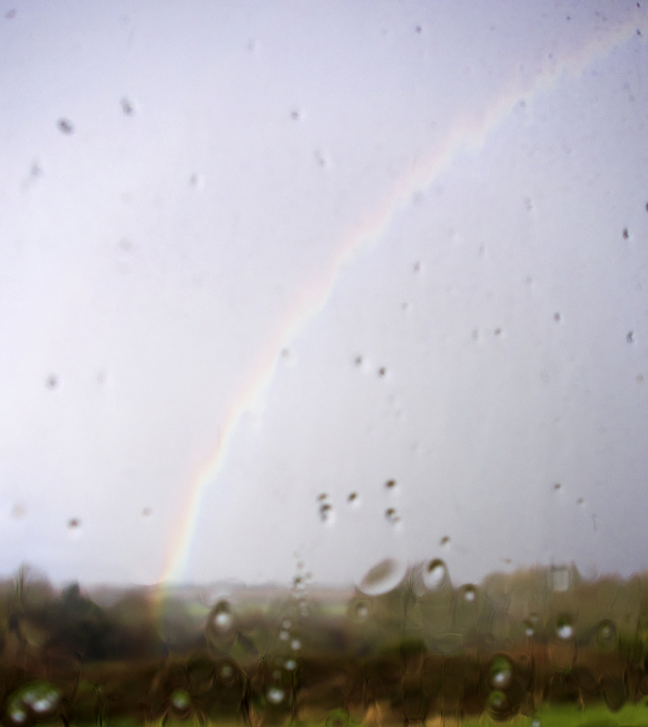 Finding The Rainbow In The Rain | RIZZARR