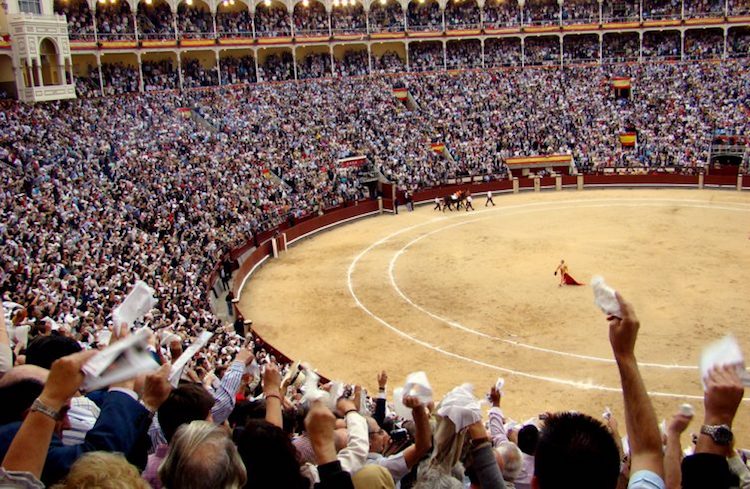 Why The Credit Always Belongs To The Man In The Arena Who Dares Greatly ...